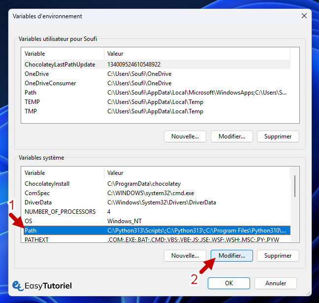 Comment installer Dig sur Windows
